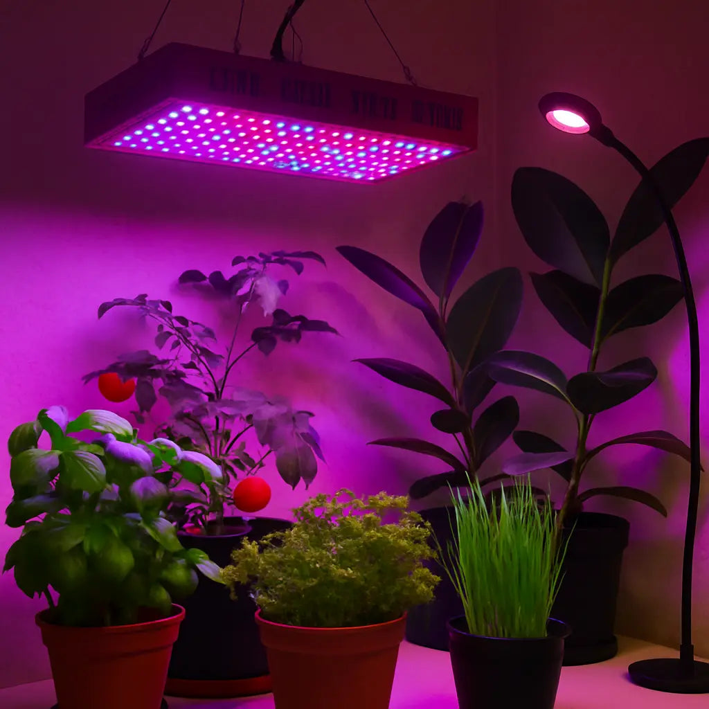 LED Grow Lights: A Complete Guide to Choosing the Best Spectrum – Under ...